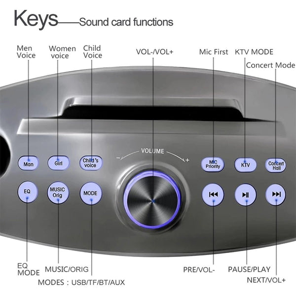 SDRD SD306 Plus 30W Karaoke Player Dual bluetooth 4.2 Speaker Family K ...
